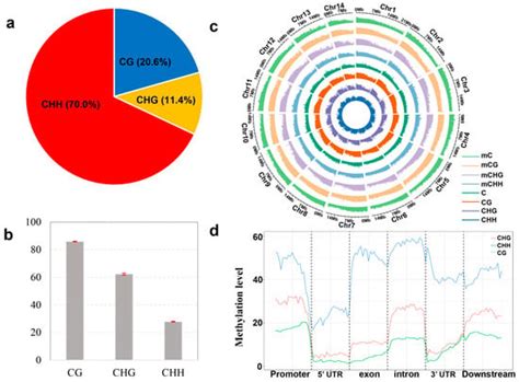 Agronomy Free Full Text Genome Wide Methylation Landscape Uncovers The Role Of Dna