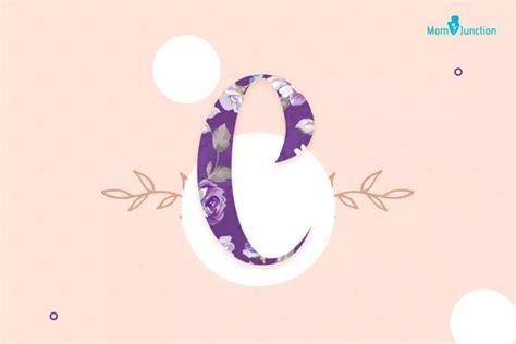 Cujo Meaning Origin Popularity