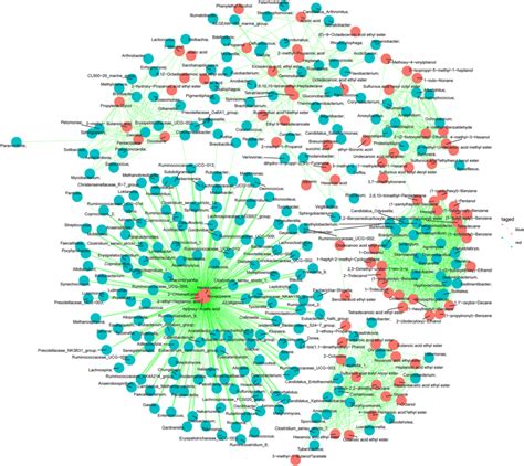 Correlation Between Microorganisms And Flavor Compounds Download Scientific Diagram