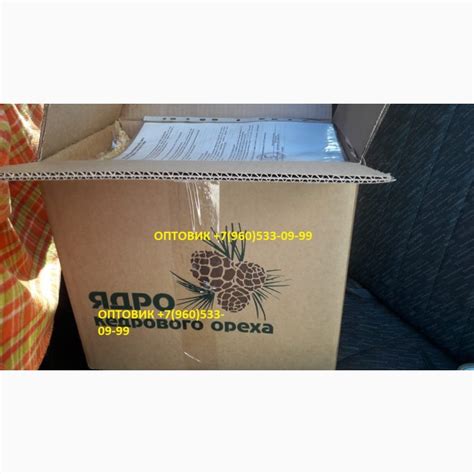 Продам купить кедровые орехи оптом от производителя Барнаул — Rusboard