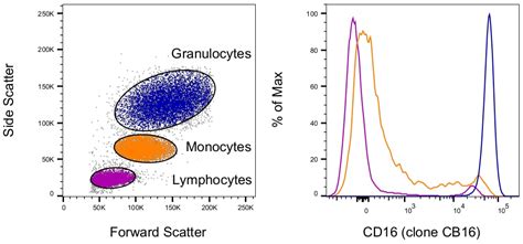 Cd16 Antibody Fitc 11 0168 41