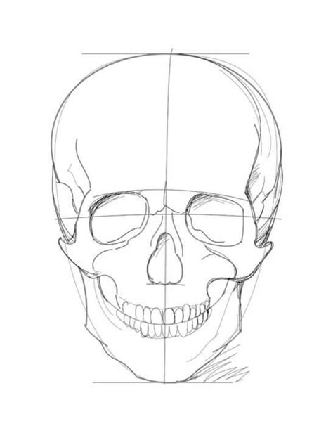How To Draw A Skull With A Pencil Step By Step Drawing Tutorial