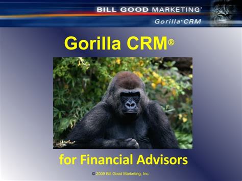 Gorilla Crm System Demo Ppt