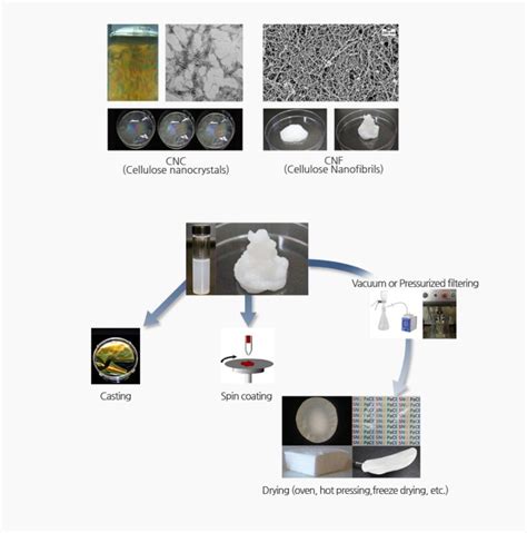Nanocellulose Pace Lab