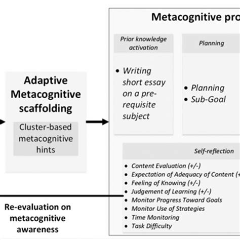 Overview Of The Adaptive Metacognitive Scaffolding Download Scientific Diagram