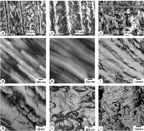 Polished Sections Of The Inner Crossed Lamellar Layer Of Fm Shells A Download Scientific