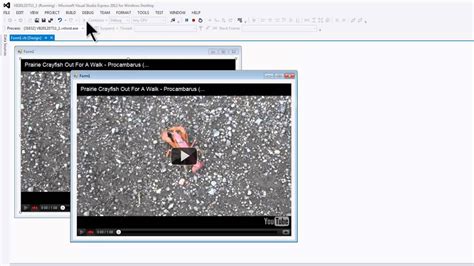 Vb Express 2012 Desktop Tutorial 11 Playing Youtube Videos With