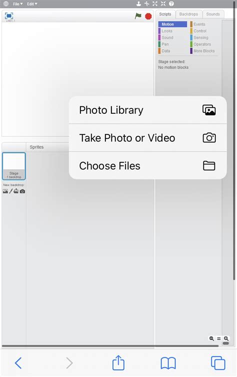 File Browser Won · Issue 12613 · Ruffle Rs Ruffle · Github