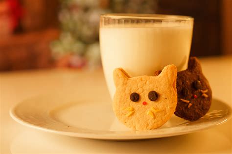 새해 전야와 크리스마스 테마를 위한 코코아와 진저브레드 쿠키 고양이 같은 쿠키와 크리스마스 트리와 벽난로가 있는 우유 한 잔을 배경으로 한 이미지 0명에 대한 스톡 사진 및