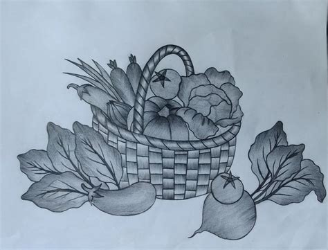 Basket Of Vegetables Drawing