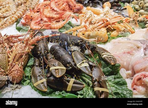 Different Types Of Shellfish For Sale At A Market In Barcelona Stock