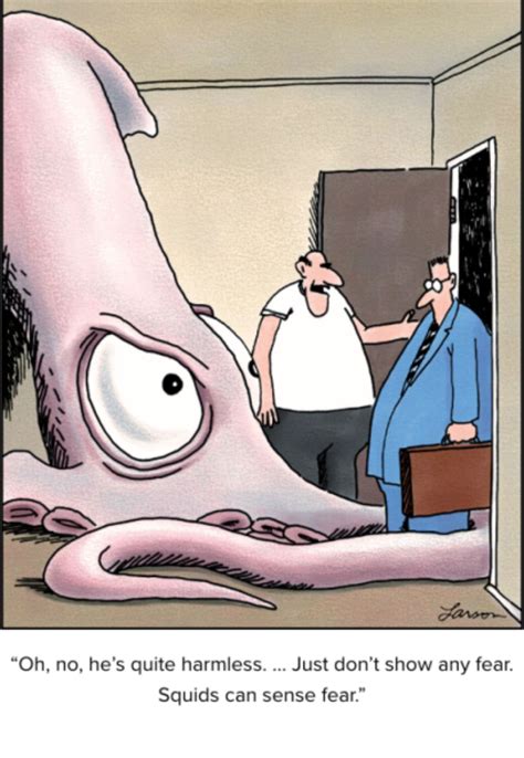 The Far Sides Freaky Giant Squid Is Everything That Makes Its Comics Great