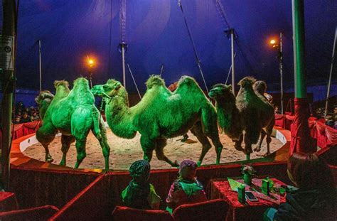 Circus Robini Hereinspaziert In Schmalkalden Schmalkalden Insüdthüringen