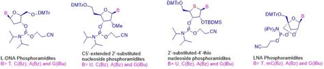 Nucleic Acid Chemistry Sapalaorganics