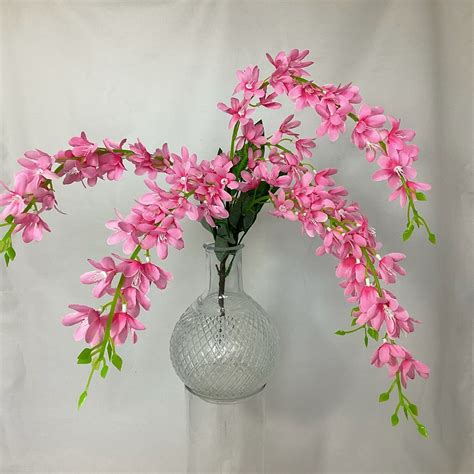 Trailing Wisteria Cerise Pink Village Green Trailing Wisteria Cerise Pink Village Green