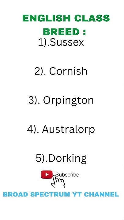 Classification Of Chicken Breeds Chicken Class Breeds Based On