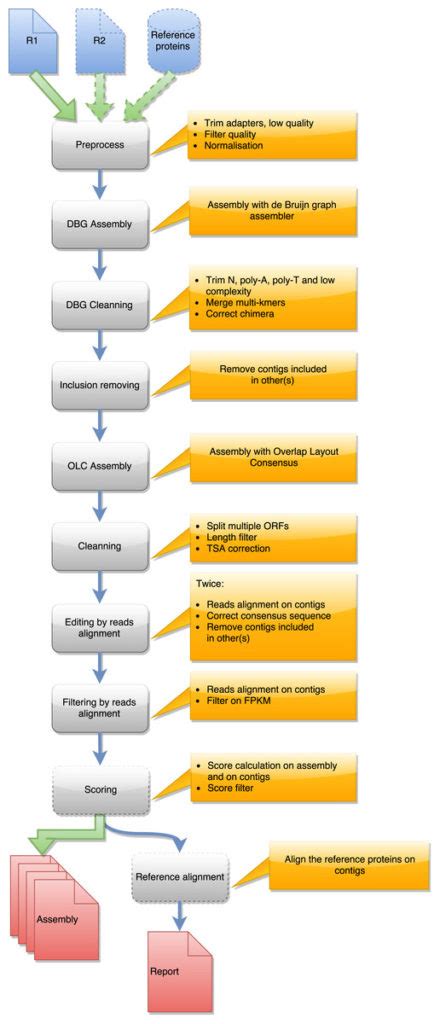 Drap Compacting And Correcting Trinity And Oases Rna Seq De Novo