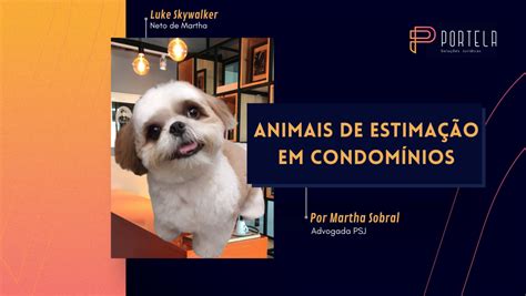 Animais De Estimação Em Condomínios