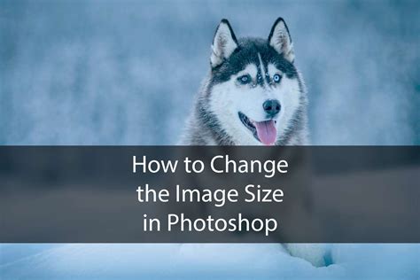How To Adjust The Image Size In Photoshop TrickyPhotoshop