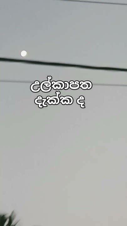 දුර්ලභ දර්ශනය Youtube