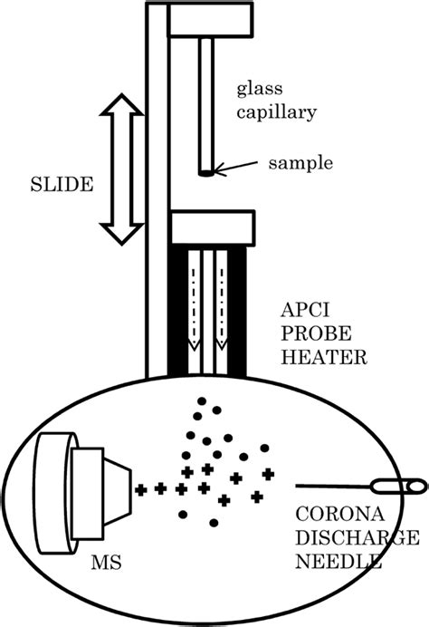 Schematic Diagram Of Apci Direct Probe Download Scientific Diagram