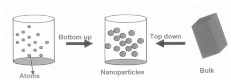 Schematic Representation Of Bottom Up And Top Down Technique Download Scientific Diagram