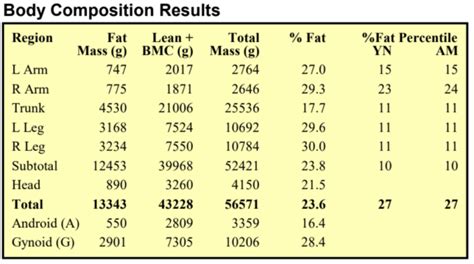 Interpreting DEXA Scan Results A Comprehensive Guide