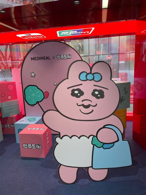 짱 크니까 더 귀여웠어요🐰🫶 콜리 Colley