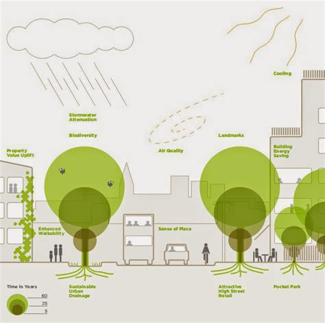 Dandelions And Concrete 12 Principles To Help Plan Design Plant And Manage An Urban Forest