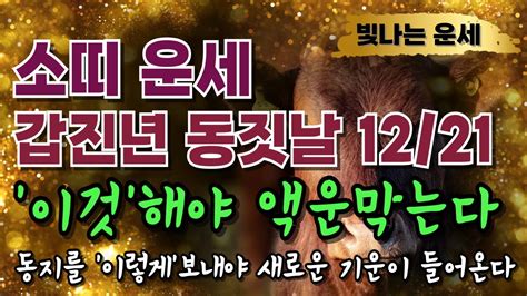동짓날풍수🌃소띠운세 2024년 동지 12월 21일 토요일 이것해야 액운 물리치고 을사년 새기운 들어온다 ️소띠 운세 동지기도 올립니다🙏🙏홍수막이 삼재풀이 을사년운세