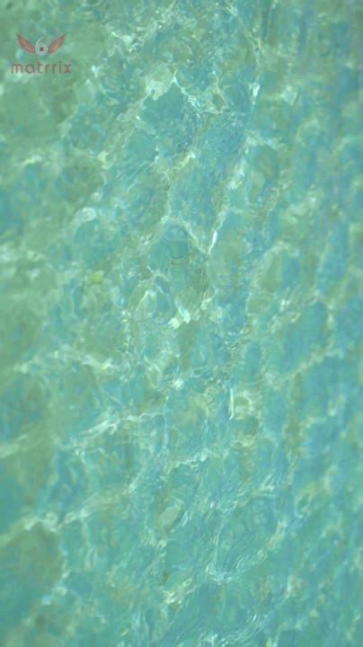 Matrrix Icf Actp Coach Training School On Linkedin Mindfulness Mentalhealth Declutter