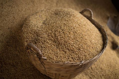 စပါးခွံလောင်စာသုံး Gasifier အများဆုံး အသုံးပြုနေသည့်ဒေသမှာ ဧရာဝတီတိုင