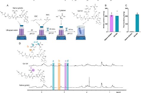 Figure 1 From Semi Synthetic Click Gelatin Hydrogels As Tunable Platforms For 3d Cancer Cell