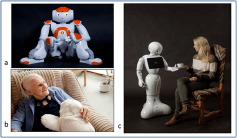 Examples Of Social Robots Anao An Autonomous Programmable Humanoid