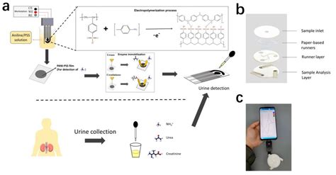 Urea In Urine