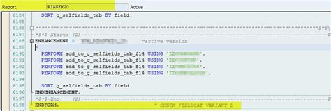 How To Add Custom Fields As Selection Inputs To Iw Sap Community