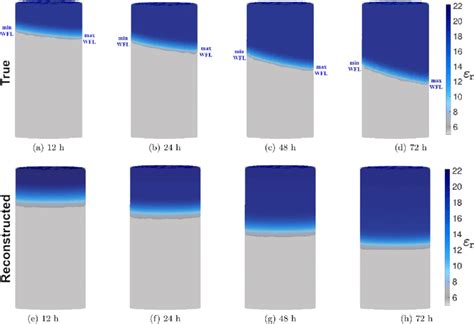 The True And Reconstructed 3d Permittivity Distributions At 12 24 48