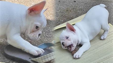 넌 세상에서 제일 재밌어 Youtube