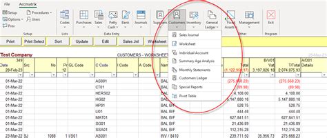 Customer Debtors Ledger Accmatrix