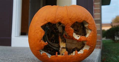 Meth Not Even Once Imgur Meth Not Even Once Imgur