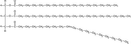 Identify The Functional Groups In The Given Structure Homework Study Com