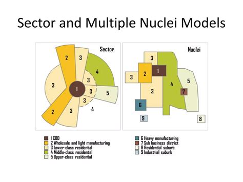 Sector And Multiple Nuclei Model Presentation Pptx
