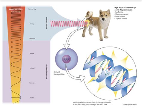 What Is Ionizing Radiation