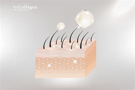 히알루 론산 모발 및 피부 솔루션 광고 흰색 콜라겐 혈청 드롭 화장품 광고 배경과 피부 세포 위에 드롭 사용할 준비 일러스트 벡터 피부에 대한 스톡 벡터 아트 및 기타