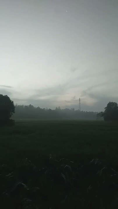 හිරු උදා වී එන සුන්දර උදෑසන 💚 Youtube