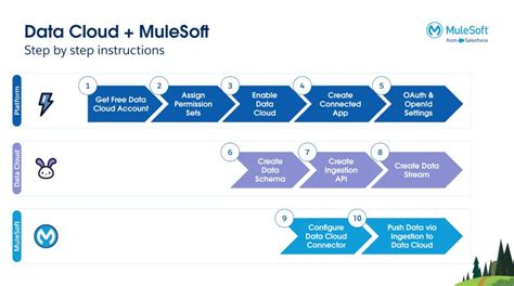 Salesforce Mulesoft Data Automation Marketing Amir Khan