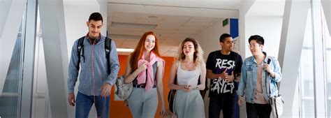 Языковая школа Edustream в Вене языковые курсы от 250€