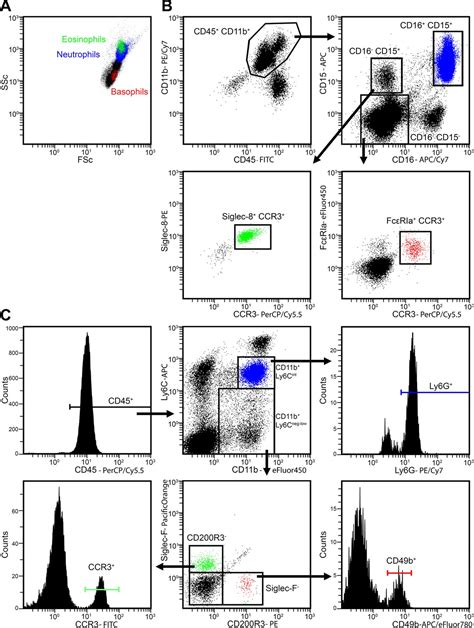 Red Blood Cell Lysis Buffer Roche Bioz