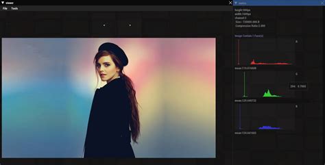 Github Coderboyisongithub Imageviewer Opengl Based Imageviwer And Processor
