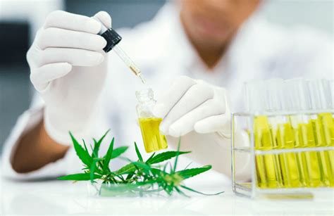 Cannabis Potency Testing Using HPLC Liquid Chromatography